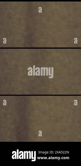 Set of videos of young guy showing different reactions on clothes in ...