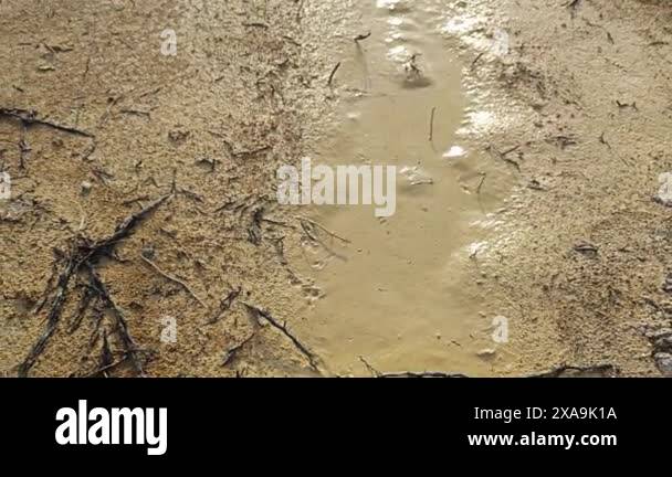drying wet mud from the stagnant pool of rainwater Stock Video Footage ...
