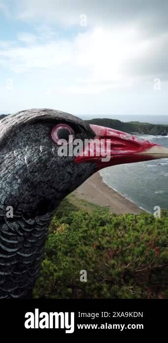 Okinawa, Japan - May 26, 24: Aerial drone footage of a Huge statue of ...