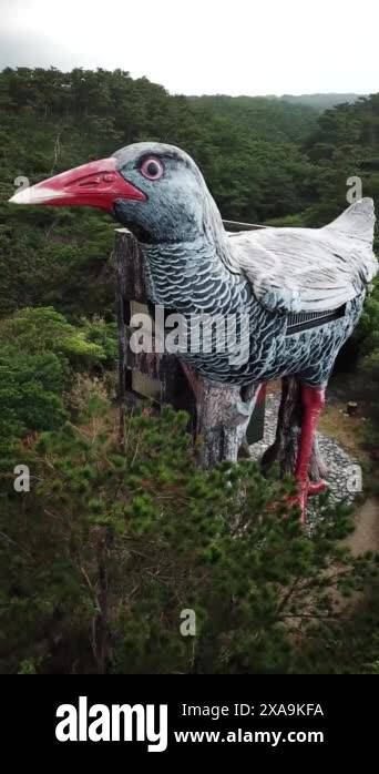 Okinawa, Japan - May 26, 24: Aerial drone footage of a Huge statue of Yanbaru kuina. Endemic ...