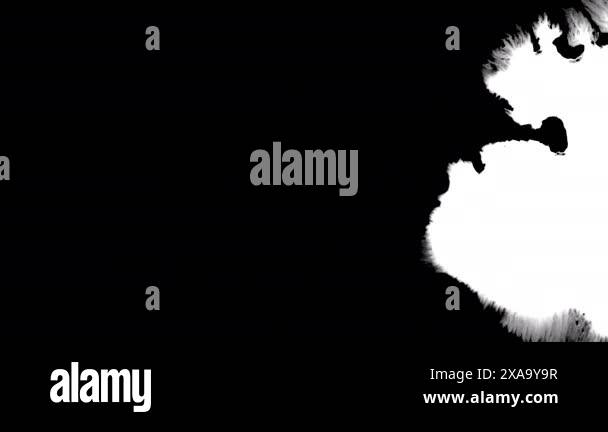 ink transition on white screen, drop texture, ink transition splatter ...