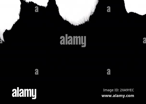 ink transition on white screen, drop texture, ink transition splatter ...