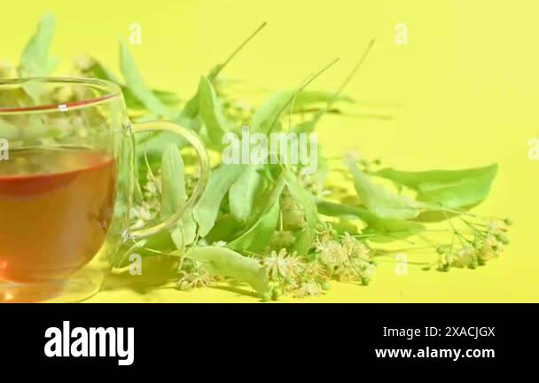 Closeup fresh tea flower Stock Videos & Footage - HD and 4K Video Clips ...