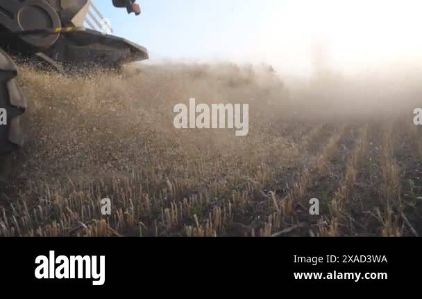 Straw grain harvesting combine Stock Videos & Footage - HD and 4K Video ...