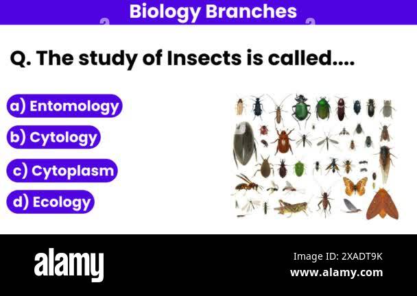 Anatomy of insects Stock Videos & Footage - HD and 4K Video Clips - Alamy