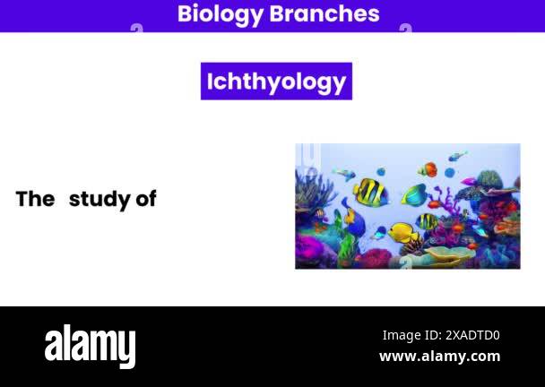 Biology ichthyology Stock Videos & Footage - HD and 4K Video Clips - Alamy