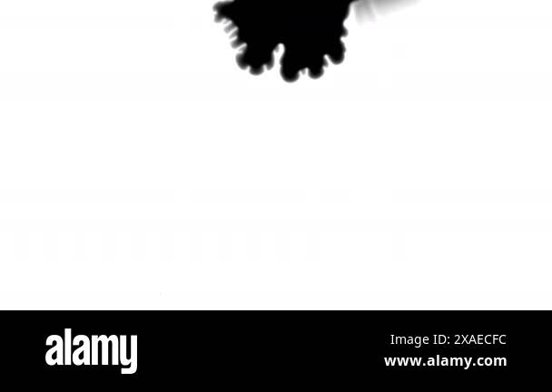 Black ink artistic flow splatter spots spills white paper beautiful ...