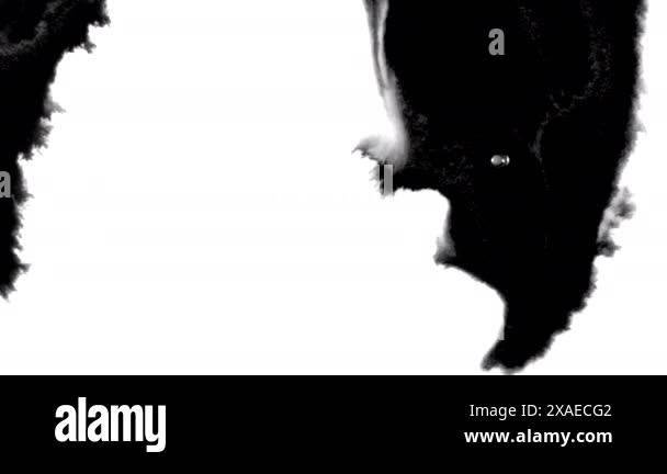 ink transition on white screen, drop texture, ink transition splatter ...