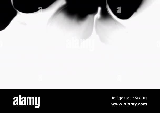 ink transition on white screen, drop texture, ink transition splatter ...