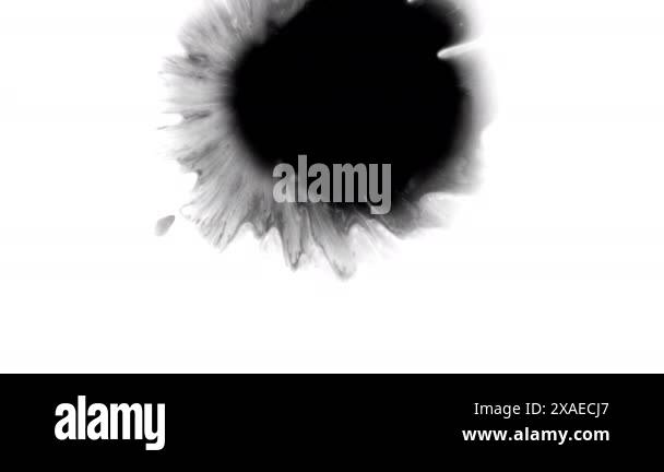 ink transition on white screen, drop texture, ink transition splatter ...