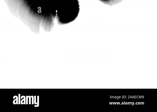 Black ink artistic flow splatter spots spills white paper beautiful ...