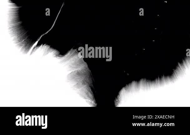 Black ink artistic flow splatter spots spills white paper beautiful ...