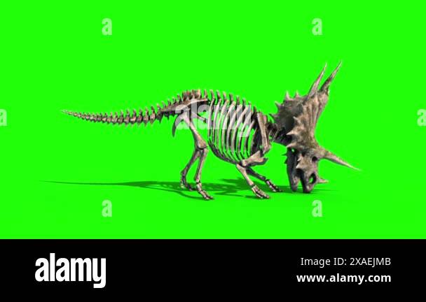 Triceratops dinosaur attacks green Stock Videos & Footage - HD and 4K ...