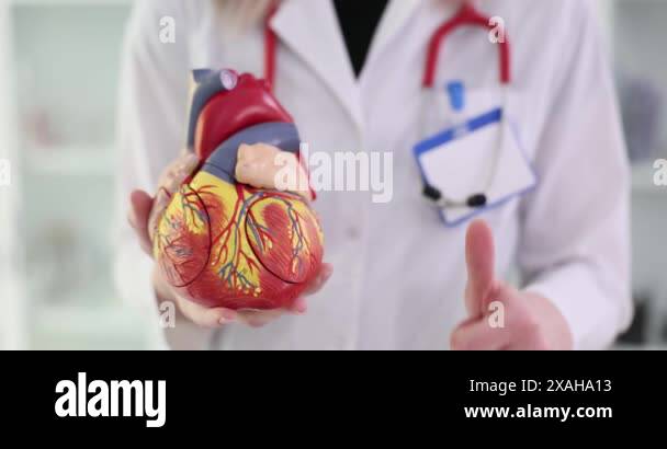 Cardiologist holds heart anatomy in hand and thumbs up. Successful ...