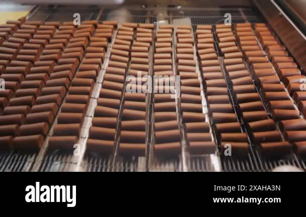 Conveyor belt in a chocolate factory. Candy production. Chocolate ...