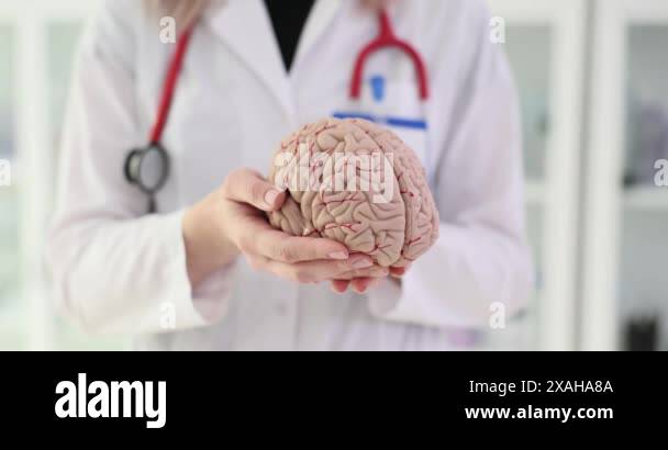 Neurologist shows brain anatomy on human model and brain lesion ...