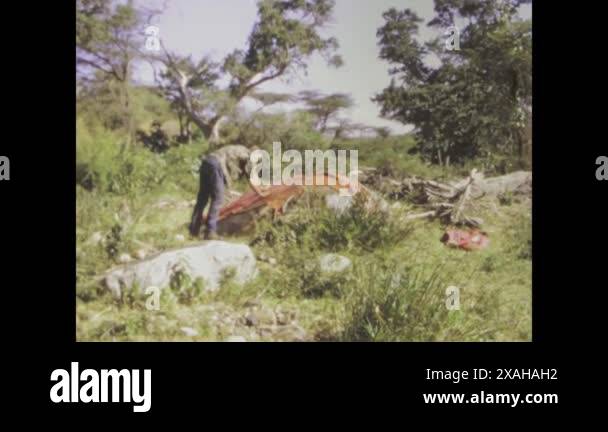 Nairobi, Kenya june 1975: White hunters bask in the sun, stretching the ...
