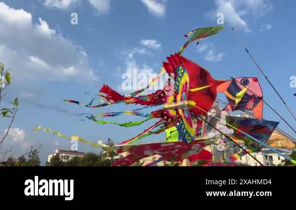 Video of many kites flying and a pink butterfly kite on the sky over ...