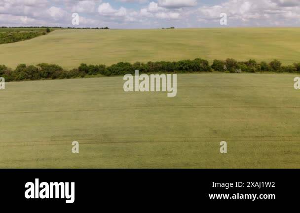 Rural countryside scene of a rolling green field with tree Stock Videos ...