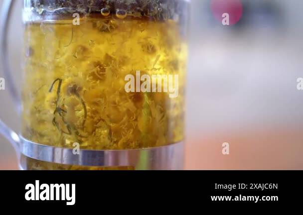 Close-up Brewing Chamomile Flower Herbal Tea in a Glass Teapot. Gray ...