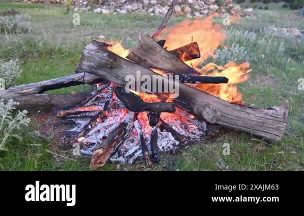 Close-up of wood burning in fireplace, barbecue fire, coal background ...