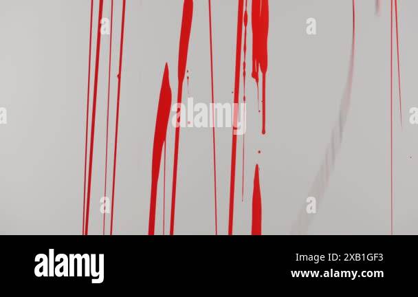 Sharp visual contrast Stock Videos & Footage - HD and 4K Video Clips ...