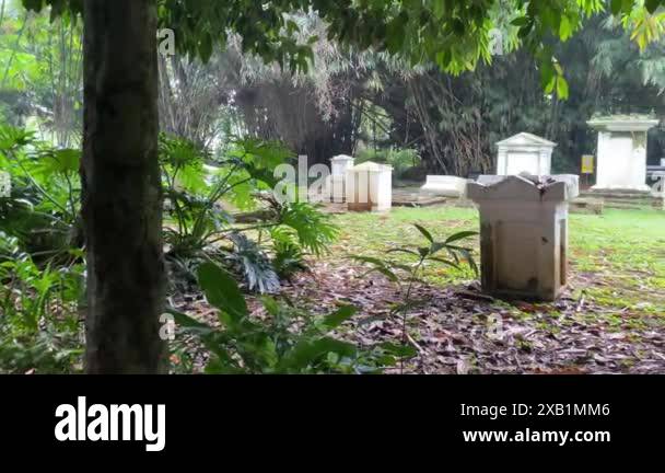 dutch cemetery from the 1800s, old and scary burial or funeral, with ...