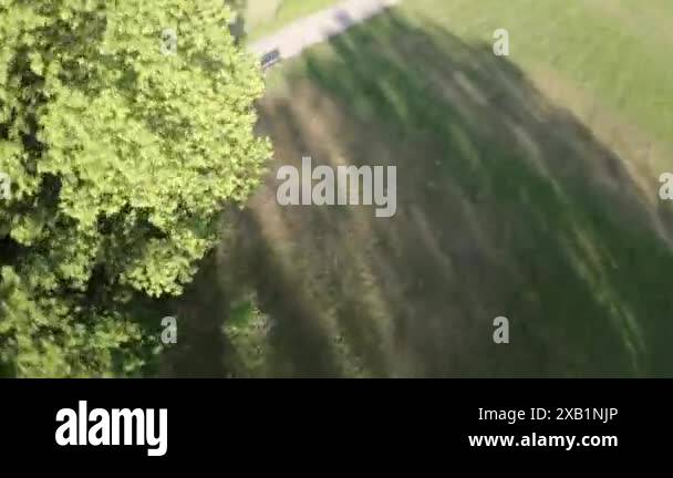 A first-person perspective video of a walk through a park on a sunny ...