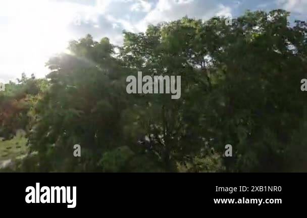 Immerse yourself in the tranquility of this stunning park, where lush ...