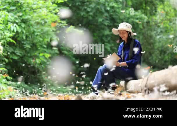 Asian biologist is collecting data in forest field study of mud ...