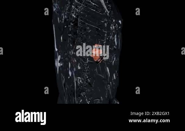 Human Pancreas Anatomy, loop animation on black background, internal ...