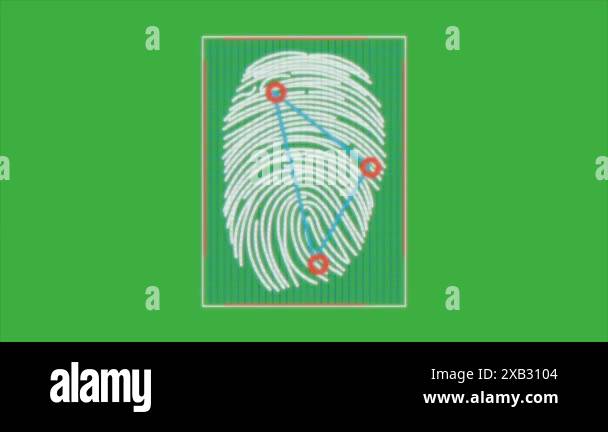 Layout scan animation Stock Videos & Footage - HD and 4K Video Clips ...