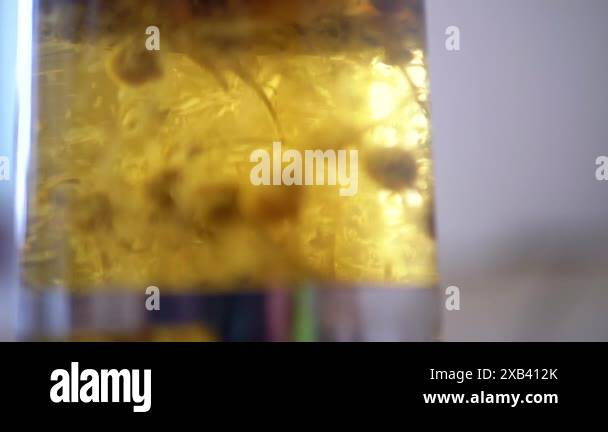 Close-up Brewing Chamomile Flower Herbal Tea in a Glass Teapot. Gray ...