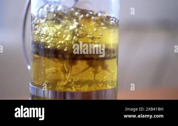 Close-up Brewing Chamomile Flower Herbal Tea in a Glass Teapot. Gray ...