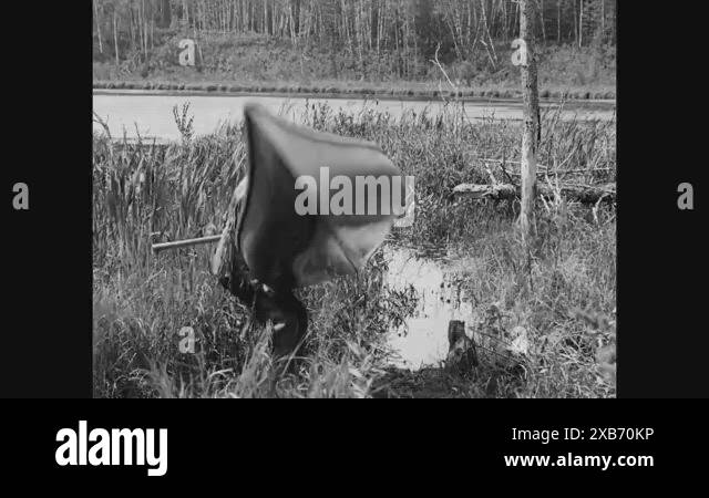 Canadian trappers Stock Videos & Footage - HD and 4K Video Clips - Alamy