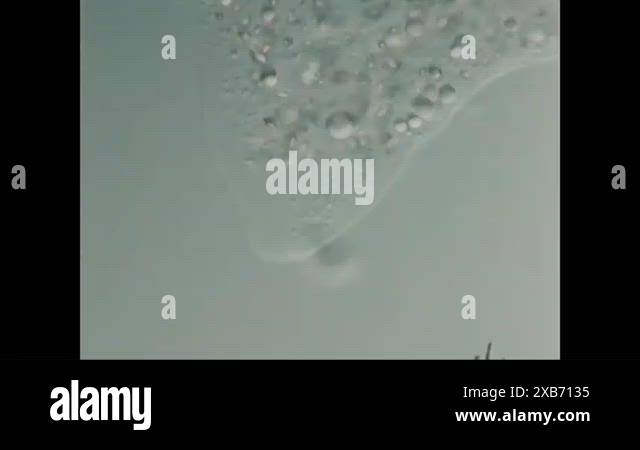 Electron microscopes Stock Videos & Footage - HD and 4K Video Clips - Alamy