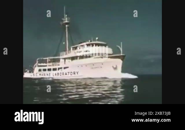USA - 1951 - Marine biologists use a plankton net to catch small ...