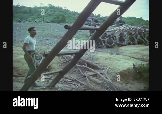1965 - A Vietnamese soldier climbs a ladder to a platform on a tree ...