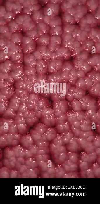 Blood and gore background Stock Videos & Footage - HD and 4K Video ...