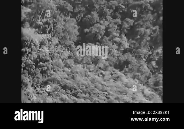 1945 - Scenes of a US Army Air Force plane bombing enemy installations ...