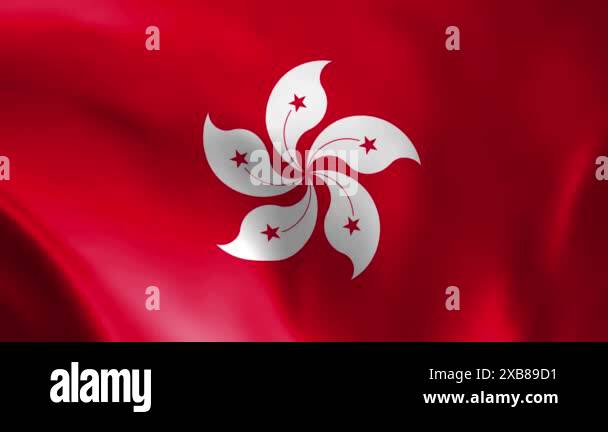 Hong Kong flag in the wind. Detailed fabric texture. Seamless looped ...