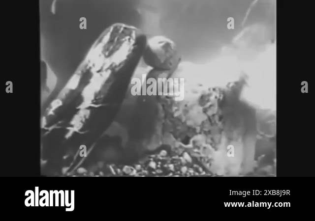 1936 - In this American adventure horror film, an octopus fights an eel ...