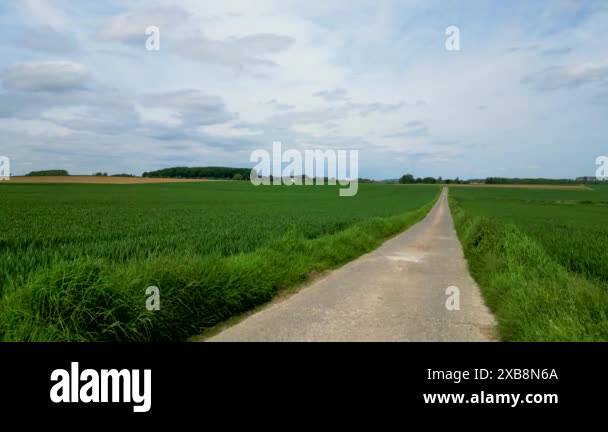 A long, narrow road winds its way through vibrant green fields under a ...