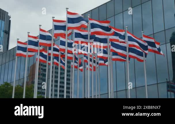 Multiple Thai flags flutter in the wind outside a modern glass building ...