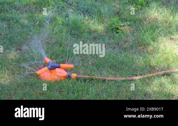 Orange sprinkler Stock Videos & Footage - HD and 4K Video Clips - Alamy