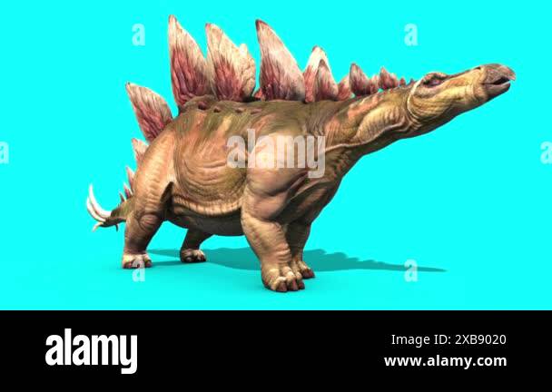 Stegosaurus Dinosaurs Blue Screen 3D Rendering Animation Stock Video ...