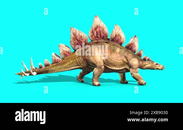 Stegosaurus Walkcycle Dinosaurs Blue Screen 3D Rendering Animation ...