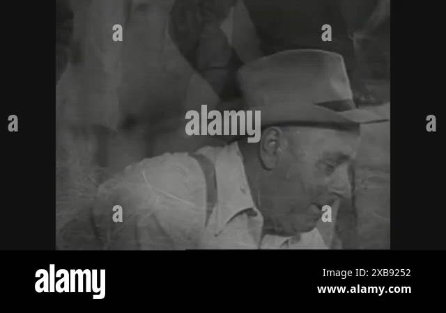 The thoroughbred Seabiscuit is born in 1933, and his champion lineage ...