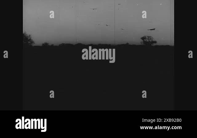 Glider pilots of troop carrier command practice landing in small fields ...