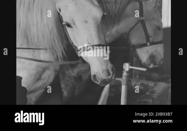 A farmwife uses a new automated washing machine, her daughter uses a ...